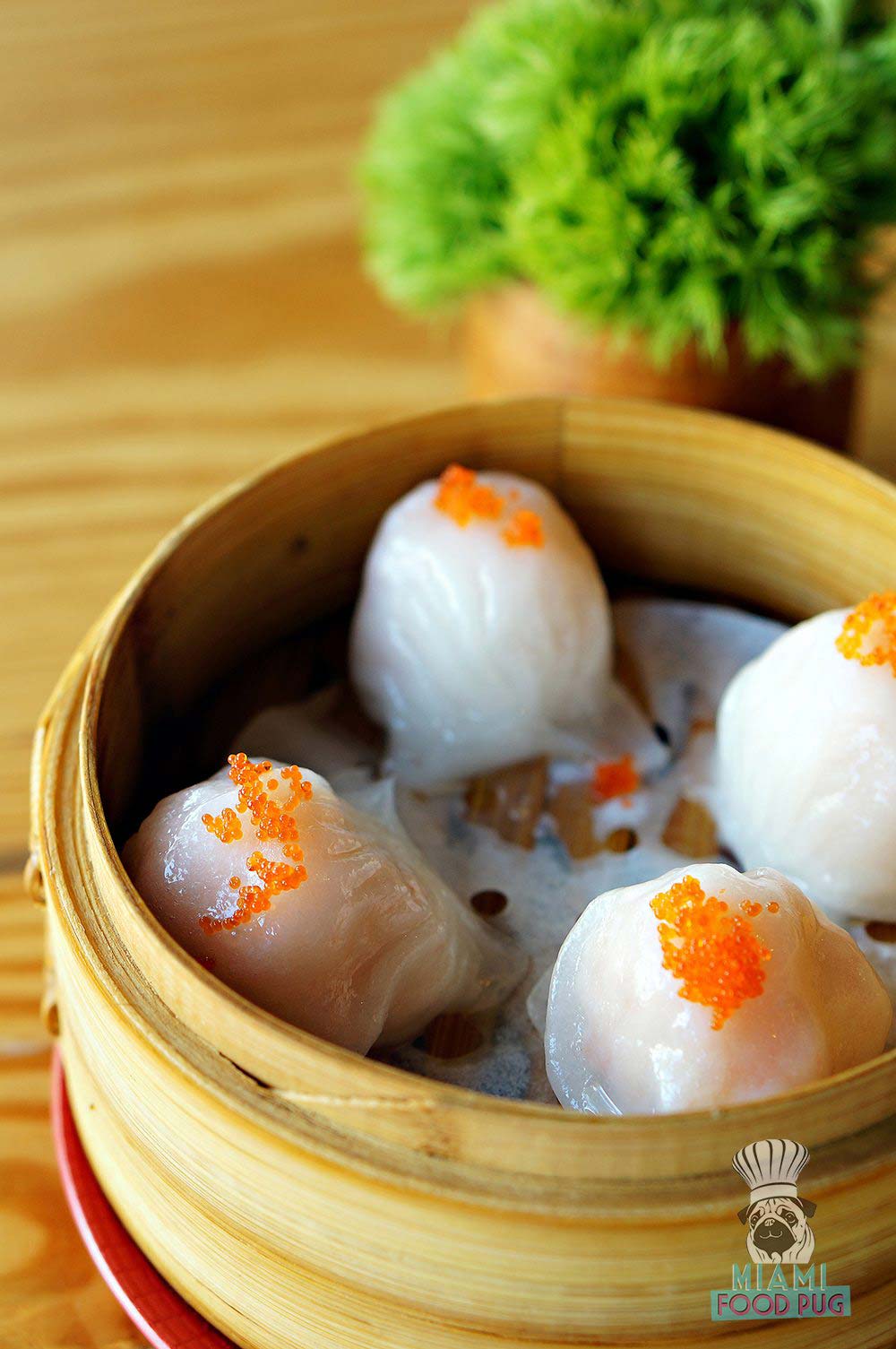 Tanuki Serves Up a Satisfying Weekend Brunch - Miami Food Pug