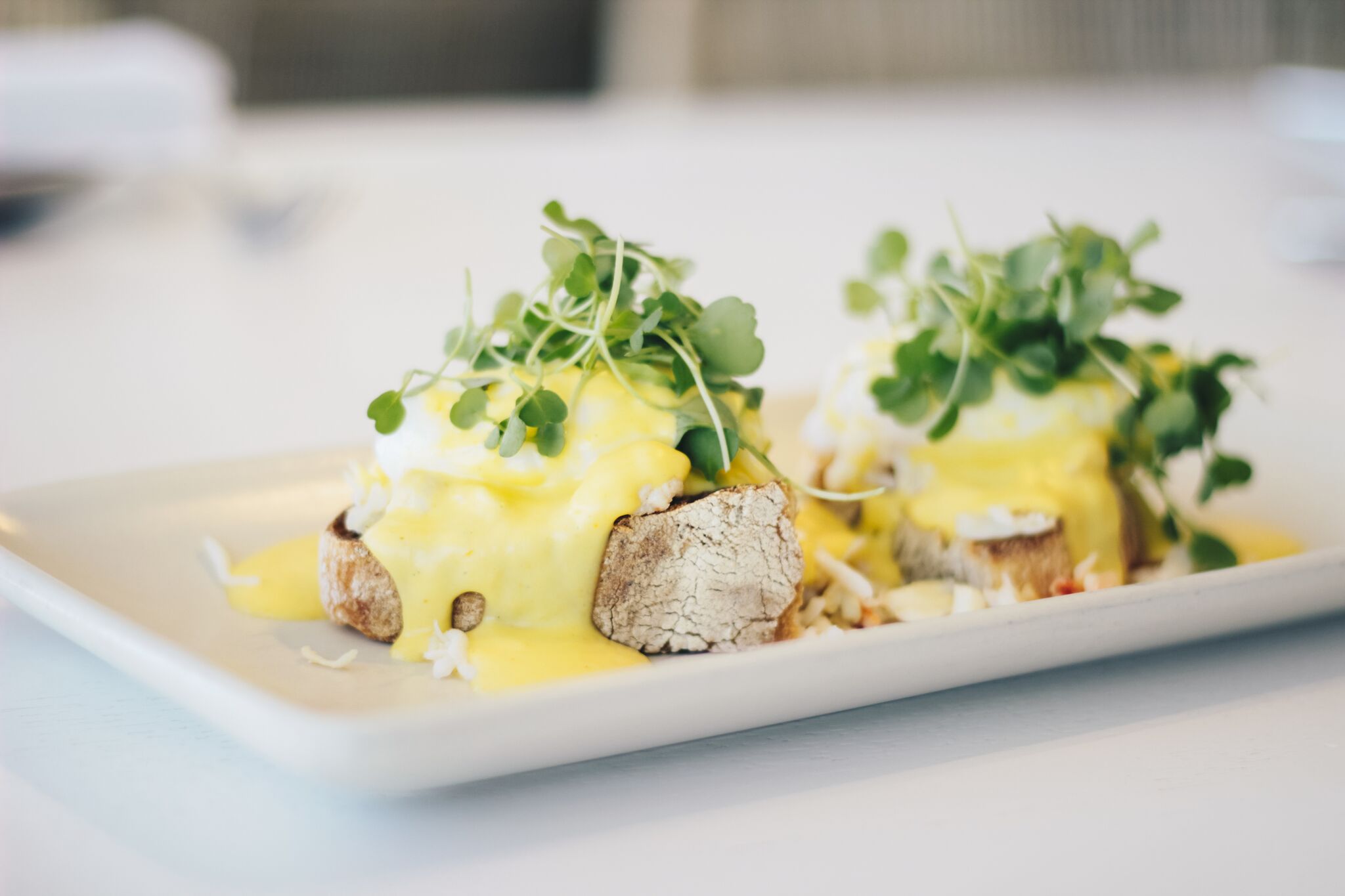 Nom News: November 1, 2019 - Miami Food Pug