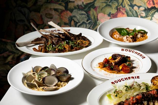 Nom News: January 16, 2026 - Miami Food Pug